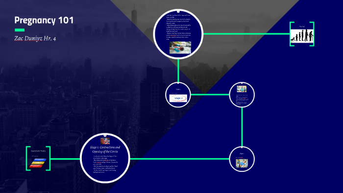 Stages of Labor Timeline by Zac Dunitz on Prezi