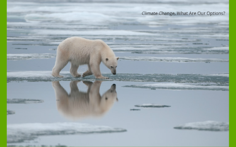 Impacts Of Climate Change by Devin Gaines on Prezi