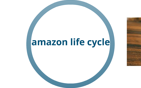 amazon life cycle by Noah S on Prezi