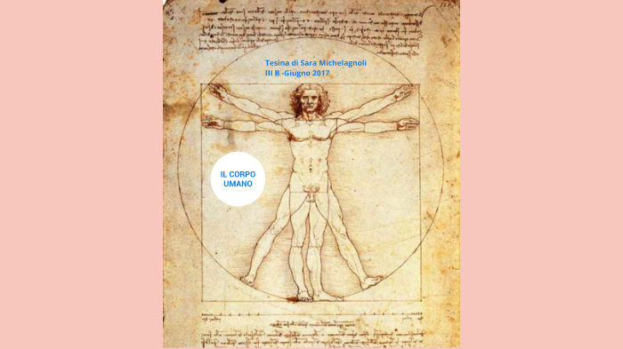 Il Corpo Umano definitiva by Sara Michelagnoli on Prezi