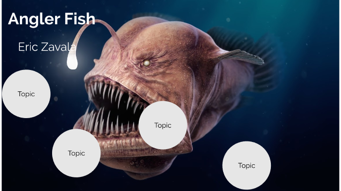 Angler fish by Eric Sanchez-Zavala on Prezi