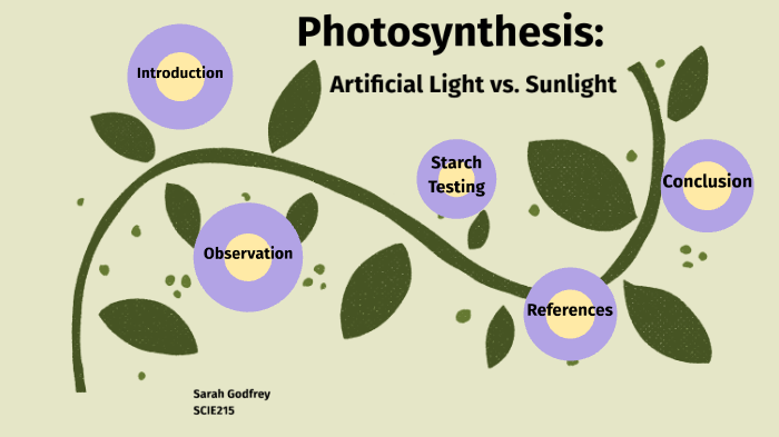 Photosynthesis: Artificial Light vs. Sunlight by Sarah Godfrey on Prezi