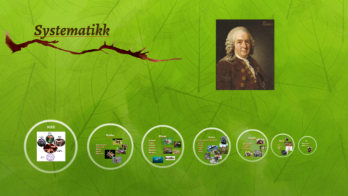Systematikk by Kristine Sundsdal on Prezi