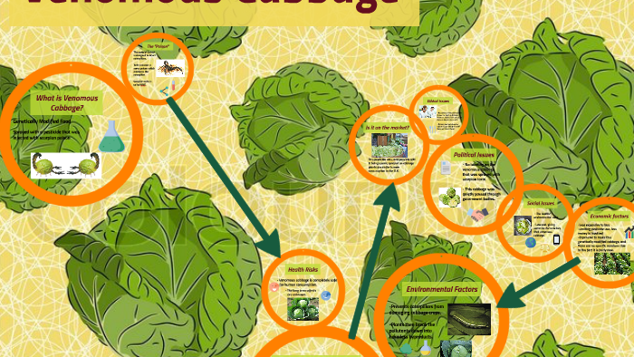 Venomous Cabbage by Jessie Piche on Prezi