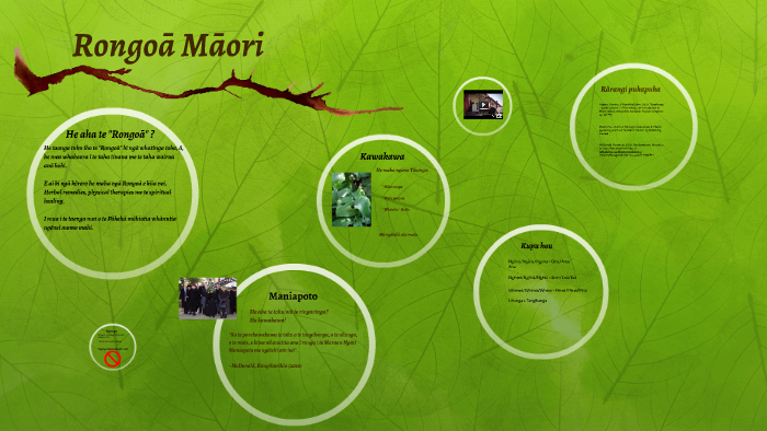 Rongoa Māori "Kawakawa" by Whakarongotai Hohepa on Prezi