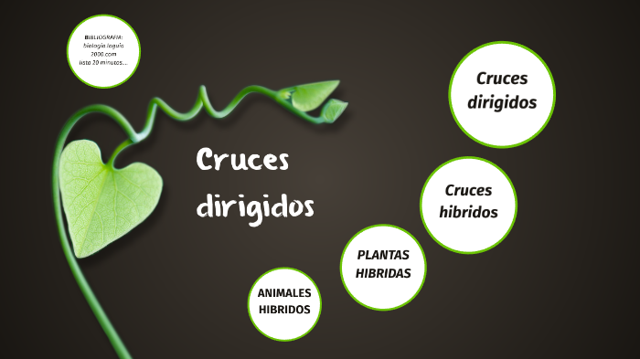 CRUCES DIRIGIDOS by Yaneth Guevara on Prezi