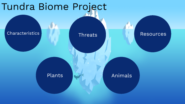 Tundra Biome Project by Kelsey Collins on Prezi