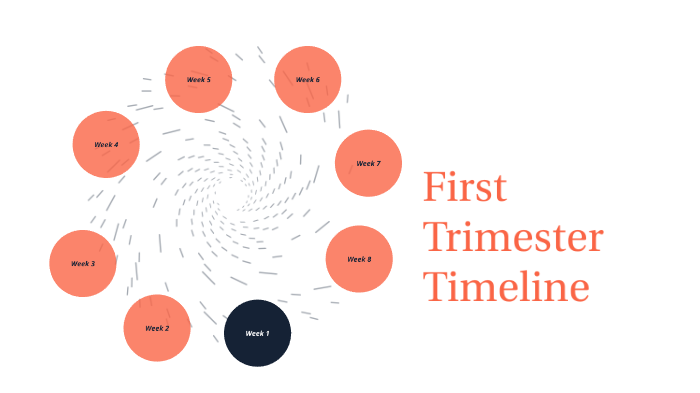 First Trimester Timeline by Katie Schnautz on Prezi