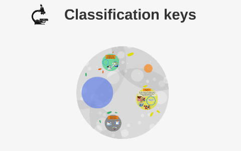 Classification keys by Jessica Gough on Prezi