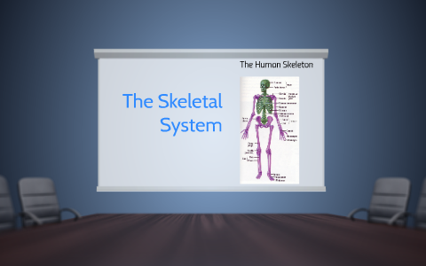 The Skeletal System by on Prezi