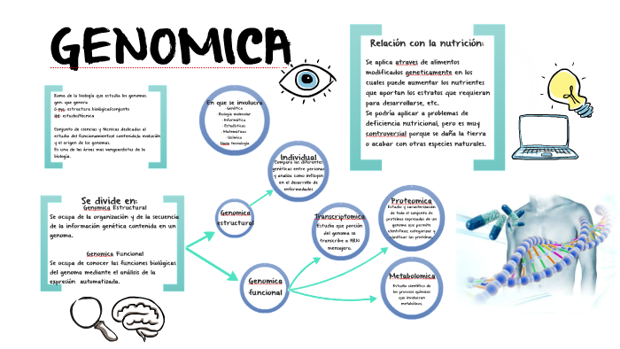 genomica by Ana Sanchez on Prezi
