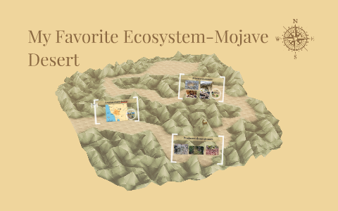 My Favorite Ecosystem by georgia ferris on Prezi