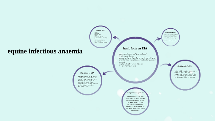 equine infectious anaemia by taylor-dawn autry on Prezi