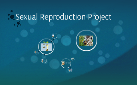 Sexual Reproduction Project by trenton williams on Prezi