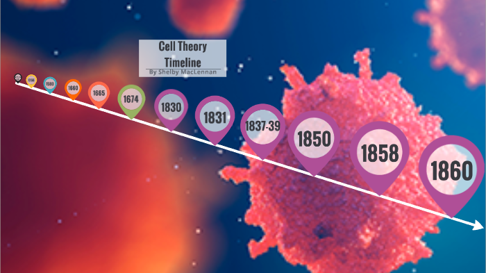 Cell Theory Timeline by Shelby MacLennan on Prezi