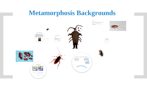 Metamorphosis Backgrounds by Joseph McCormack on Prezi
