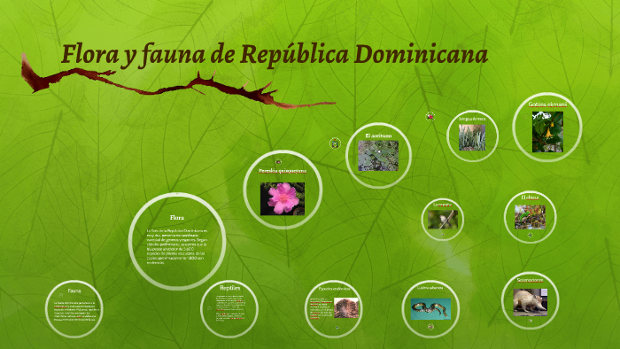 Flora y fauna de República Dominicana by Rafael Corona Liriano on Prezi