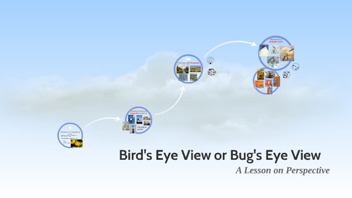 Bird's Eye View or Bug's Eye View by Abby Elkins on Prezi