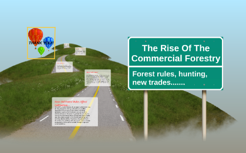 The Rise Of The Commercial Forestry by soumya lagisetty on Prezi