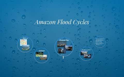 Amazon Flood Cycles by Paige Schmittlein on Prezi