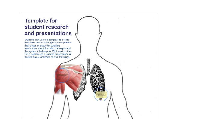 Template: Organs of the Human Body by Charlie Kingsford