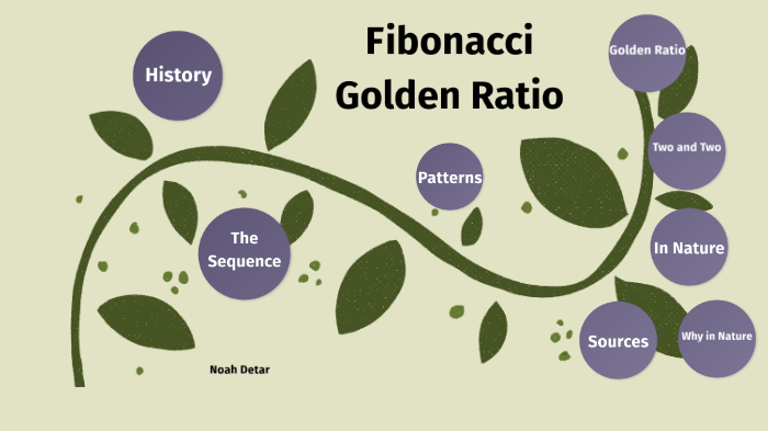 The Fibonacci Sequence and Golden Ratio by Noah Detar on Prezi
