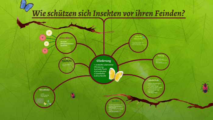 Wie schützen sich Insekten vor ihren Feinden? by jetren tischna on Prezi Wie schützen sich Insekten vor ihren Feinden? by jetren tischna on Prezi