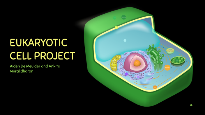 Eukaryotic Cell Project by Ankita Muralidharan on Prezi