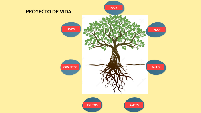 Arbol proyecto de vida by Eliam Martínez Hernandez on Prezi