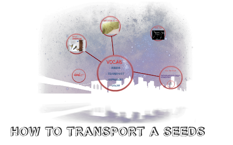 HOW TO TRANSPORT A SEEDS by laura holley on Prezi