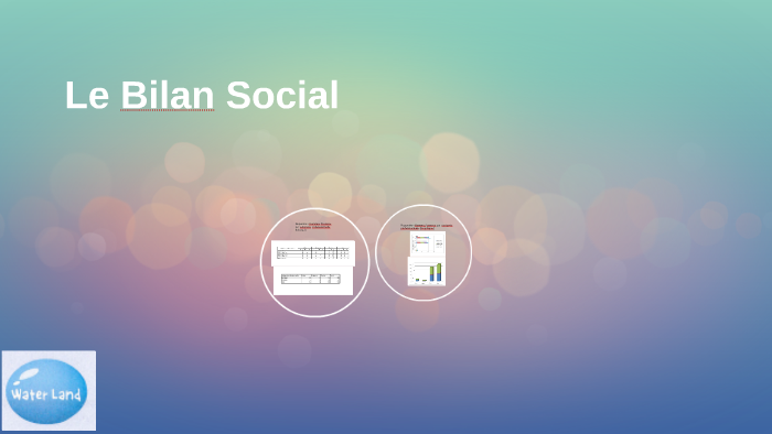 Le Bilan Social by Benoit Maccou on Prezi