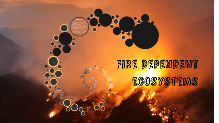 Fire Dependent Ecosystems by Avery Denny on Prezi