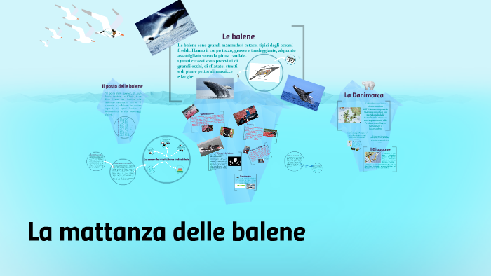 La mattanza delle balene by Sara D'Ambrosio on Prezi