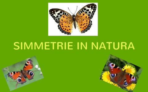 SIMMETRIE IN NATURA by Giulia Salvatori on Prezi