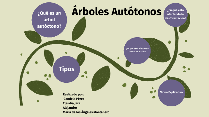 Árboles Autóctonos by María de los Ángeles Montanero on Prezi
