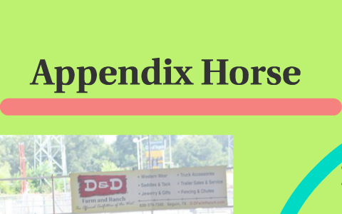 Appendix Horse by Madisun Kruger on Prezi
