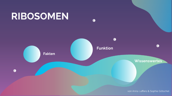 RiBOsoMen by Anna Franziska Leffers on Prezi