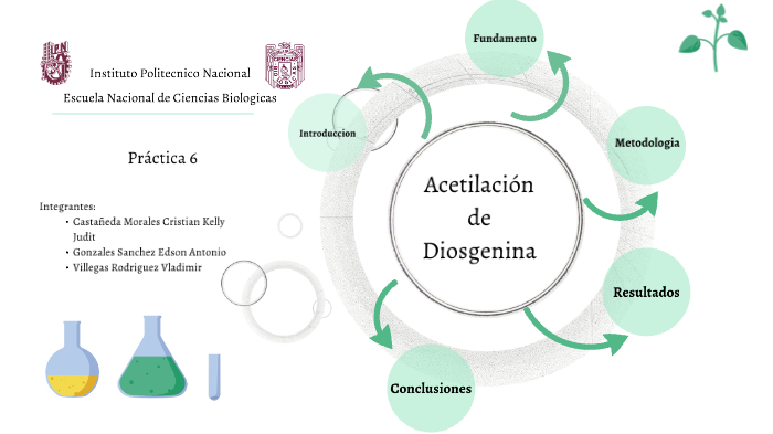 Acetilacion de diosgenina by Kelly CM on Prezi