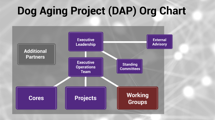 DAP Team Org Chart by Charlie Lieu on Prezi