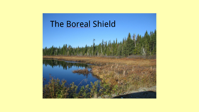 The Boreal Shield is huge, stretching 3,800 kilometres from by S C on Prezi