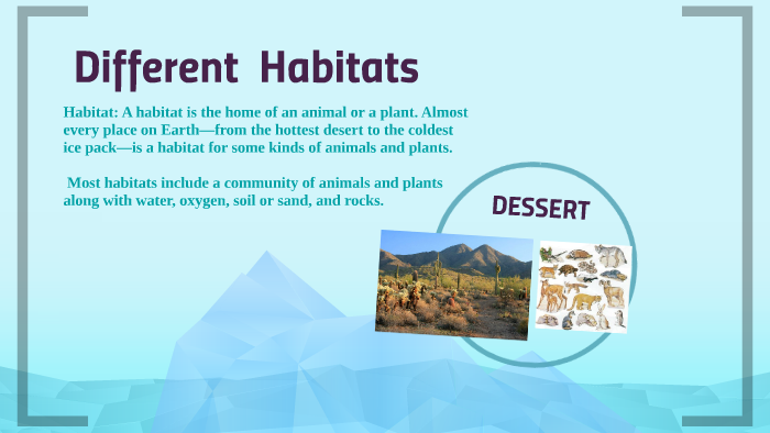 Different Types of Habitats by Alelxandra Barilotti on Prezi