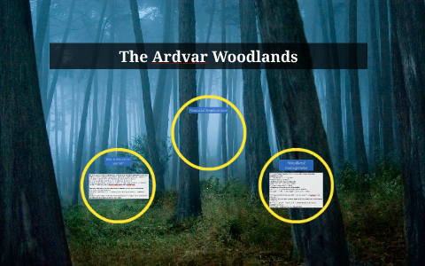 The Ardvar Woodlands by misha ganapathy on Prezi