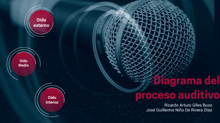 Diagrama del proceso auditivo by Memo Diaz on Prezi