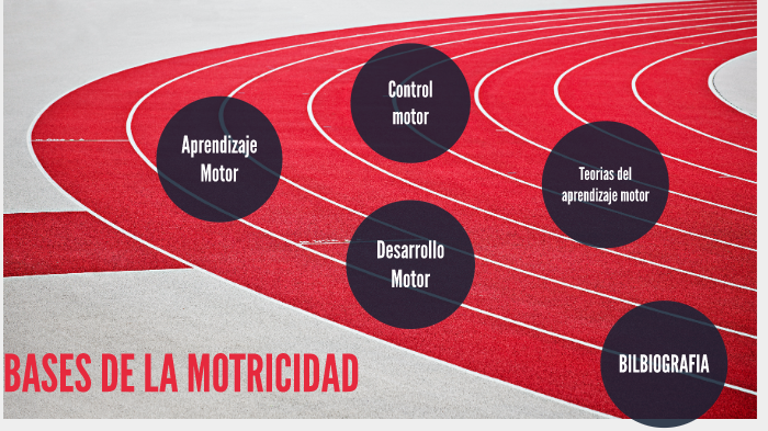 Bases de la motricidad by Elisa Hernandez on Prezi