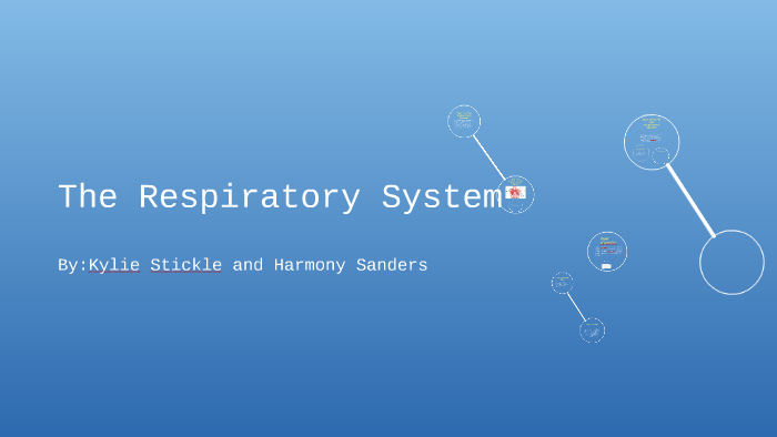 The Respiratory System by kylie stickle on Prezi