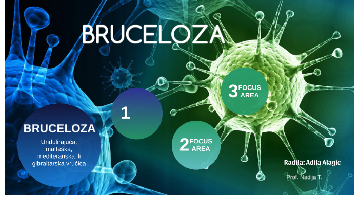 Bruceloza by adila alagic on Prezi