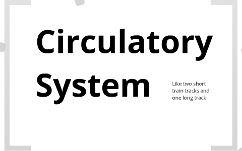 Circulatory System by Jeffrey Ditlevson on Prezi