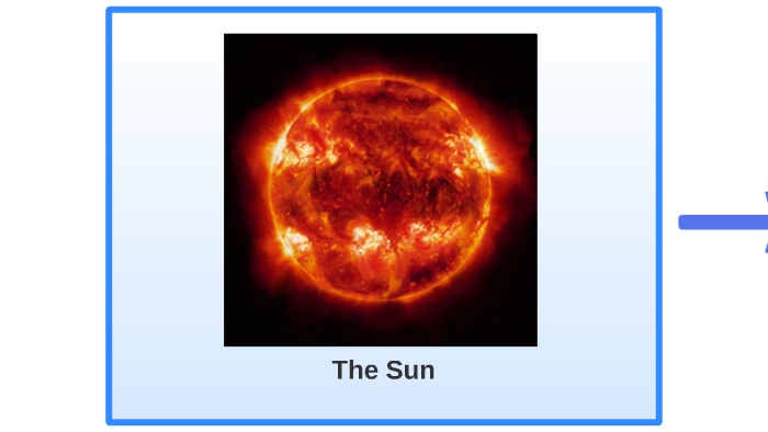 Food Chain With Zebra Mussels by Lucas Barr on Prezi
