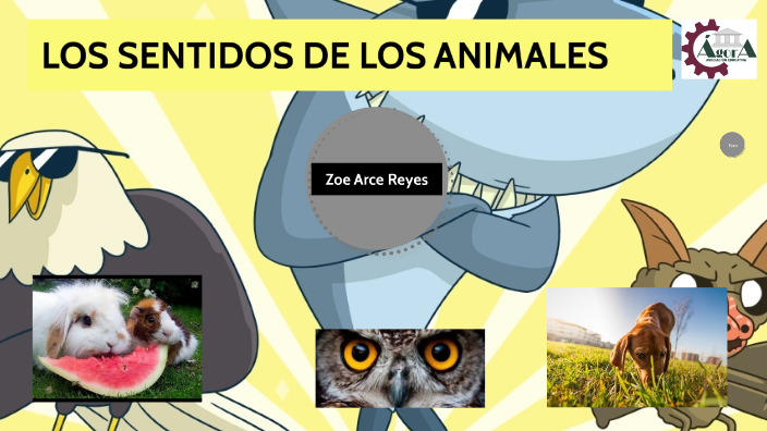 LOS SENTIDOS DE LOS ANIMALES by Zoe Briana Arce Reyes on Prezi