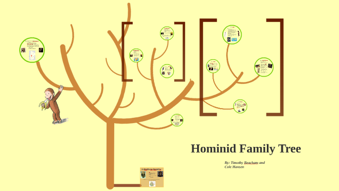 Anthropology 2A Hominid Family Tree by Cole Hansen on Prezi